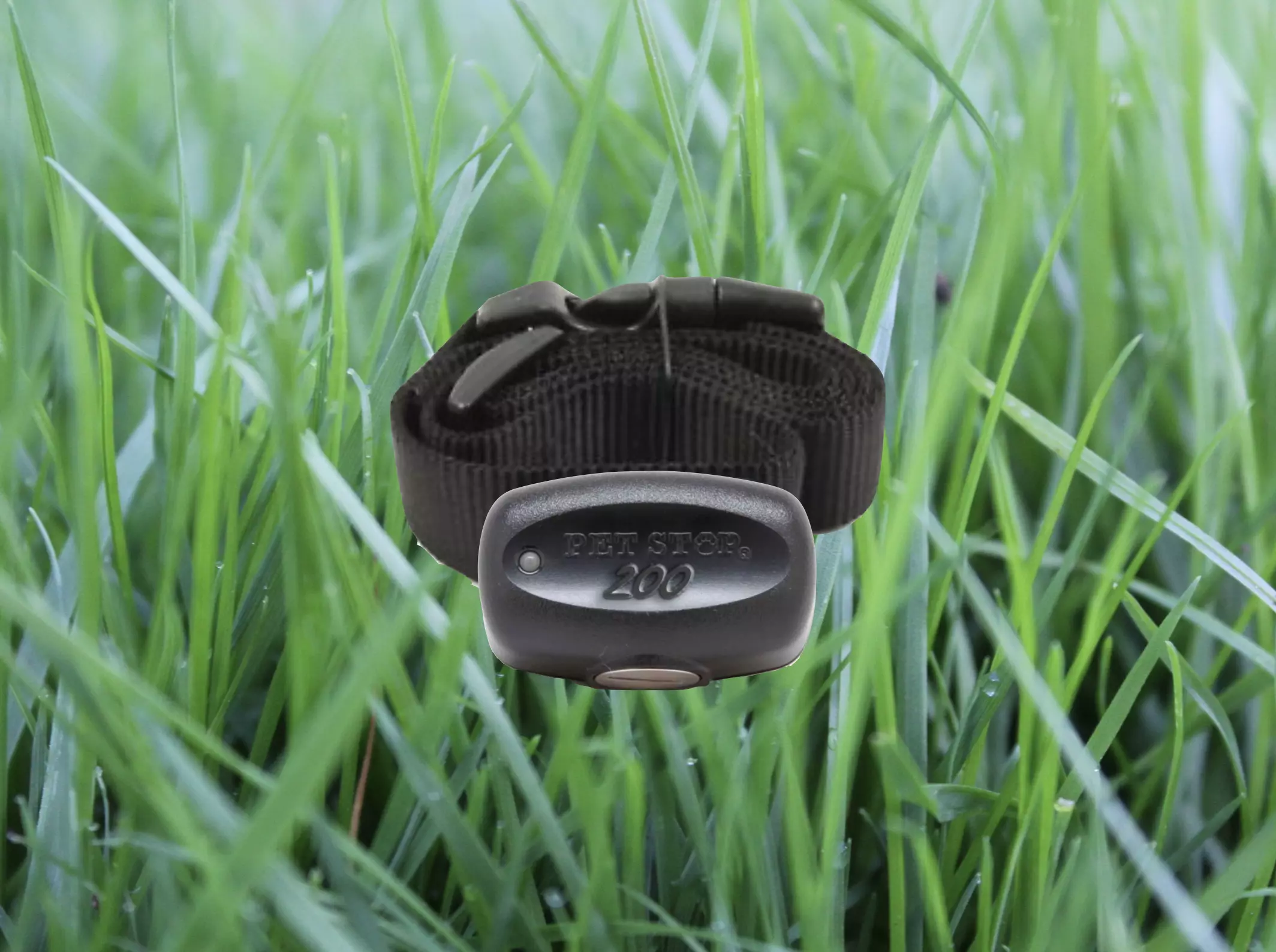 PCC200 Pro System - Pet Stop of the Fox Valley